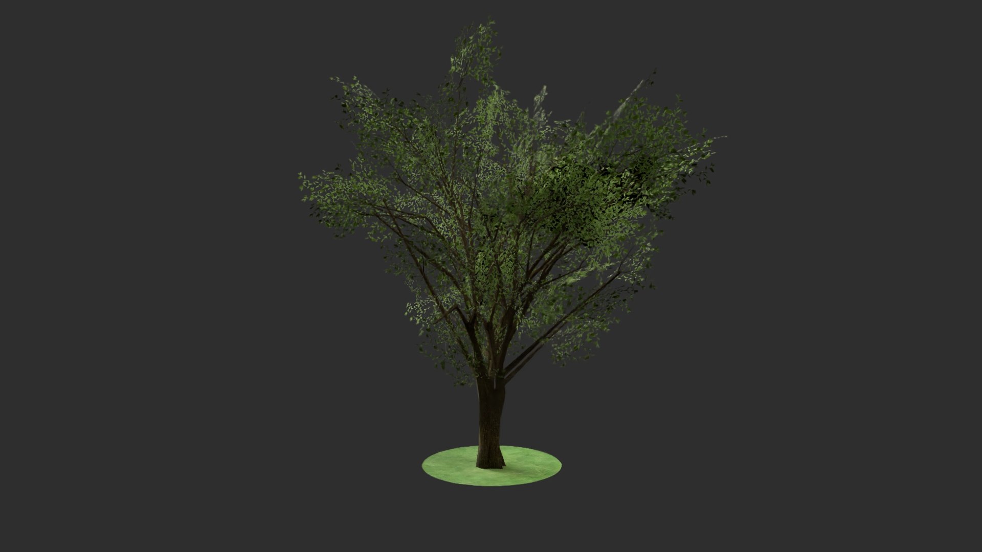 Almond Fruits 3D Model - TurboSquid 1619471