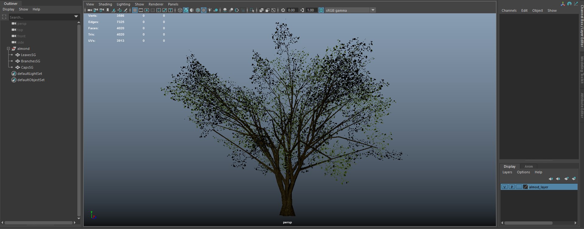 Almond Fruits 3D Model - TurboSquid 1619471