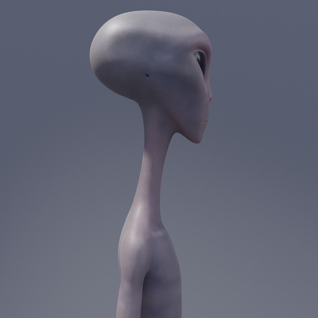 3D Tall Grey Alien Model - TurboSquid 2077765
