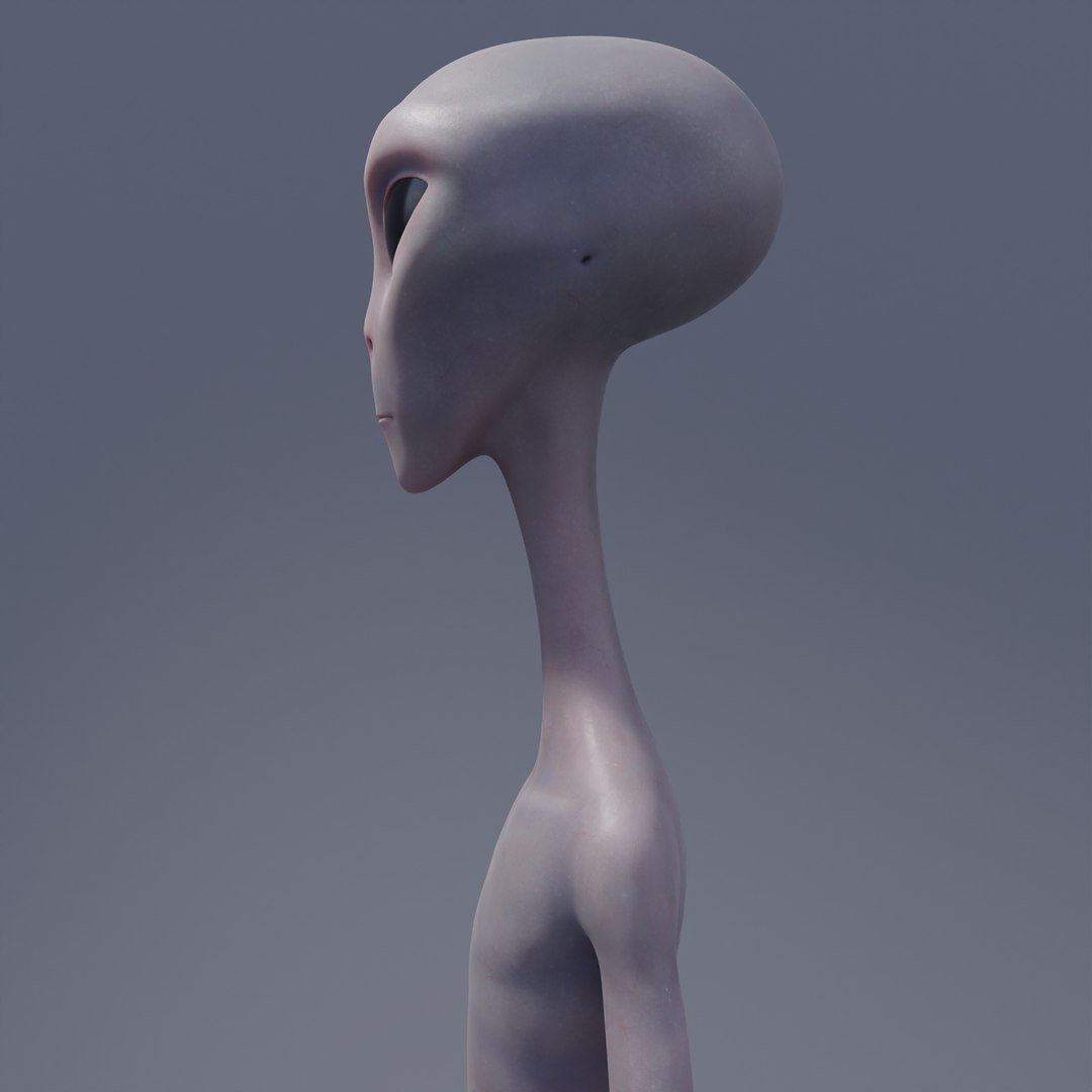 3D Tall Grey Alien Model - TurboSquid 2077765