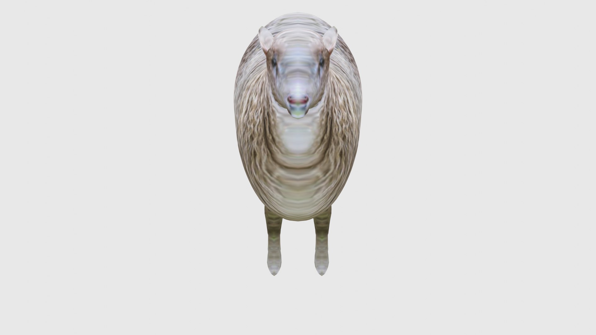 Low Poly Sheep Rigged With Realistic Texture 3D - TurboSquid 1876167