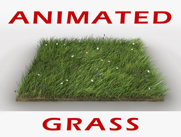 Animated Lawn Grass