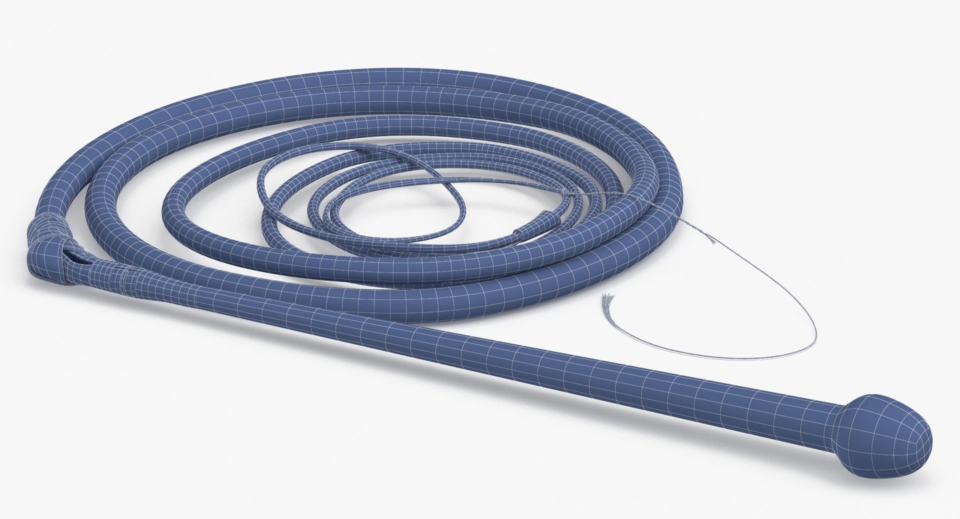 3D Model Whip - TurboSquid 2035317