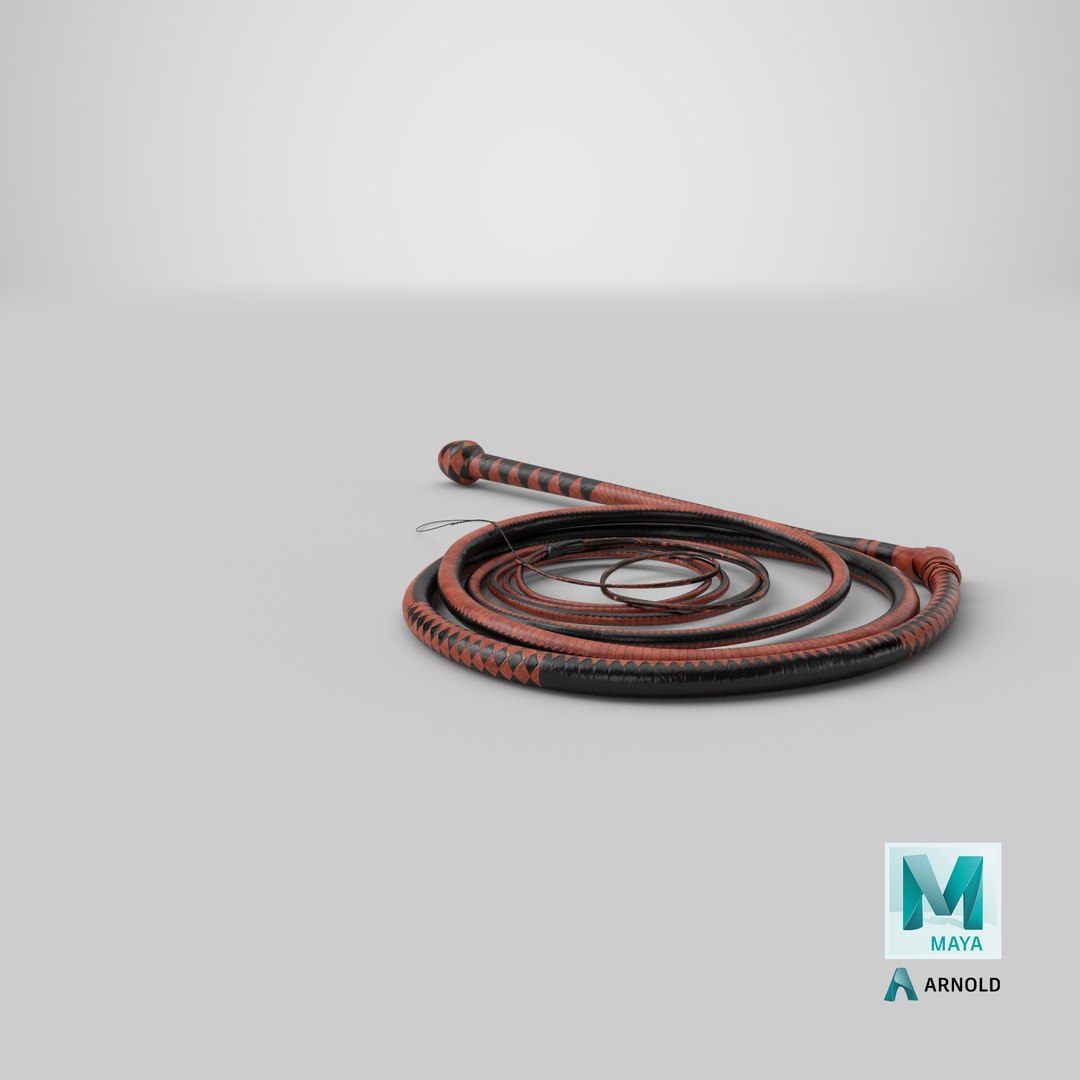 3D model Whip - TurboSquid 2035317