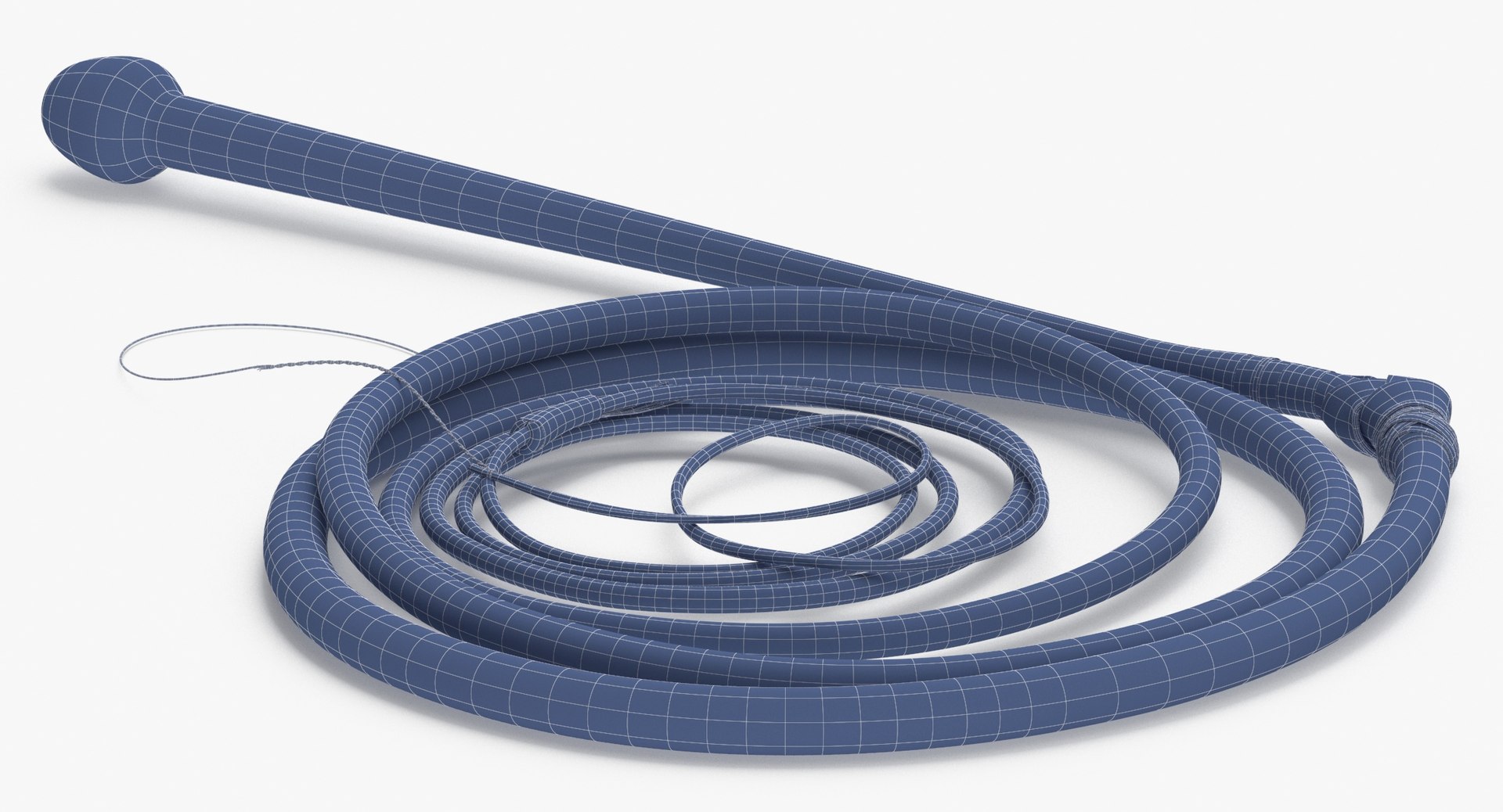 3D Model Whip - TurboSquid 2035317