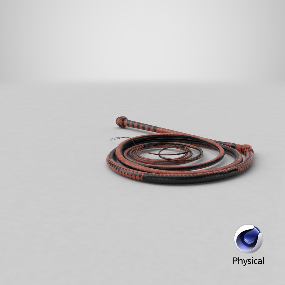 3D Model Whip - TurboSquid 2035317