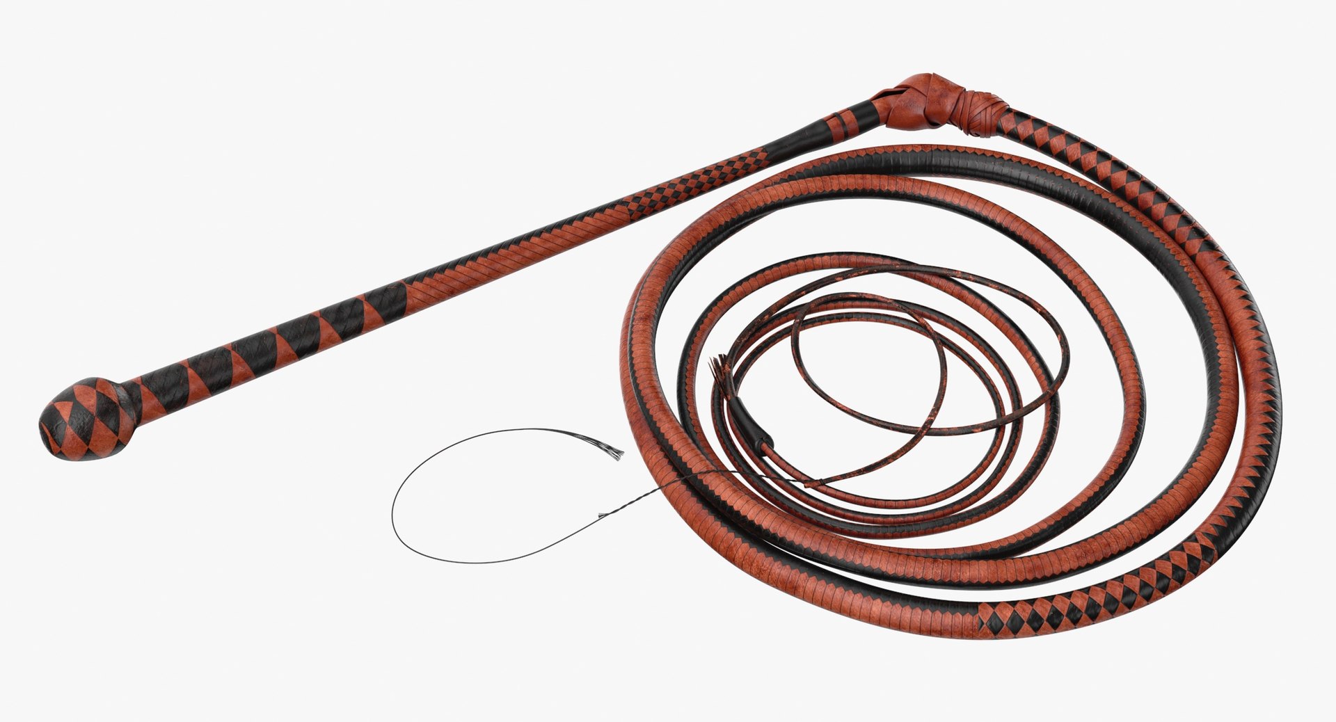 3D Model Whip - TurboSquid 2035317