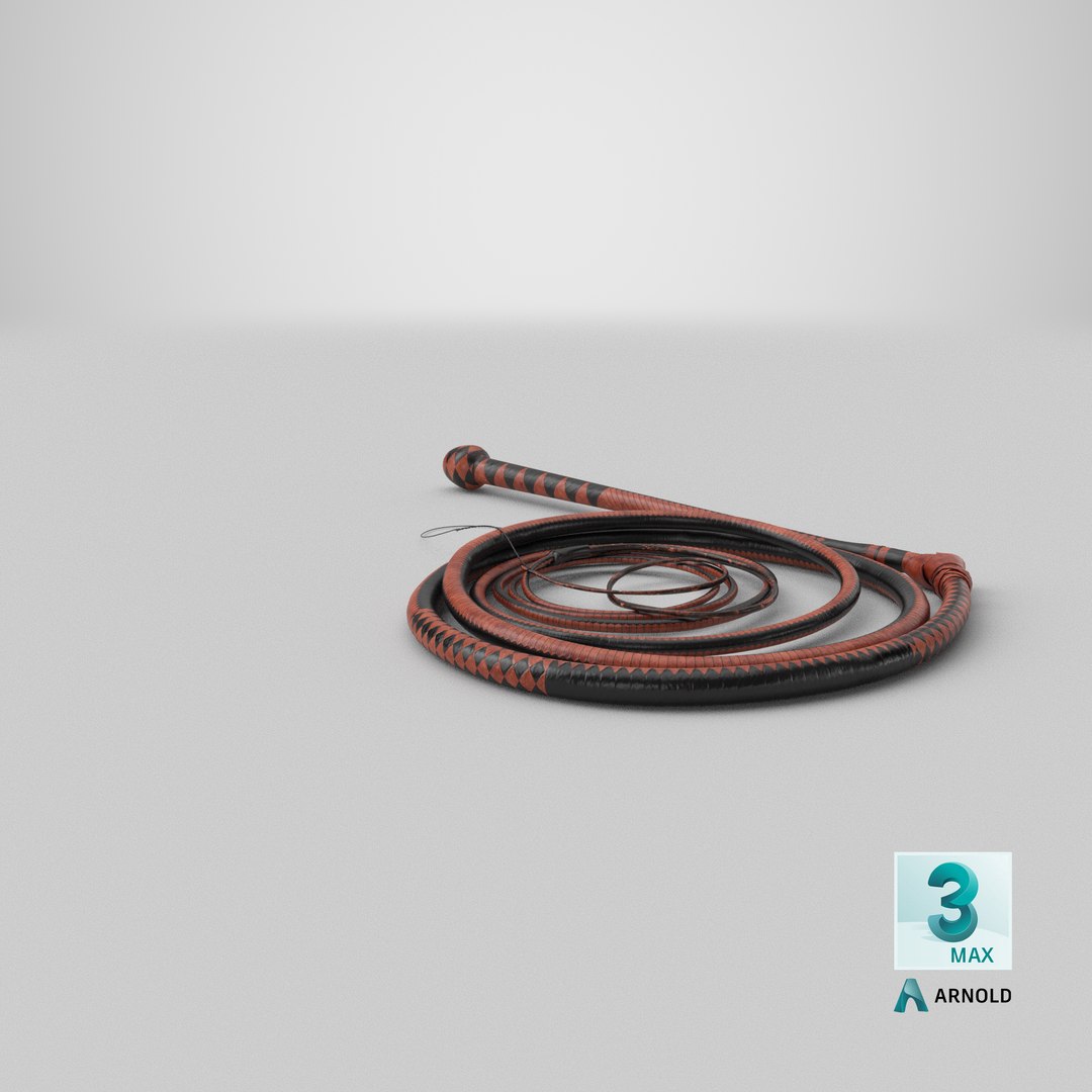 3D model Whip - TurboSquid 2035317