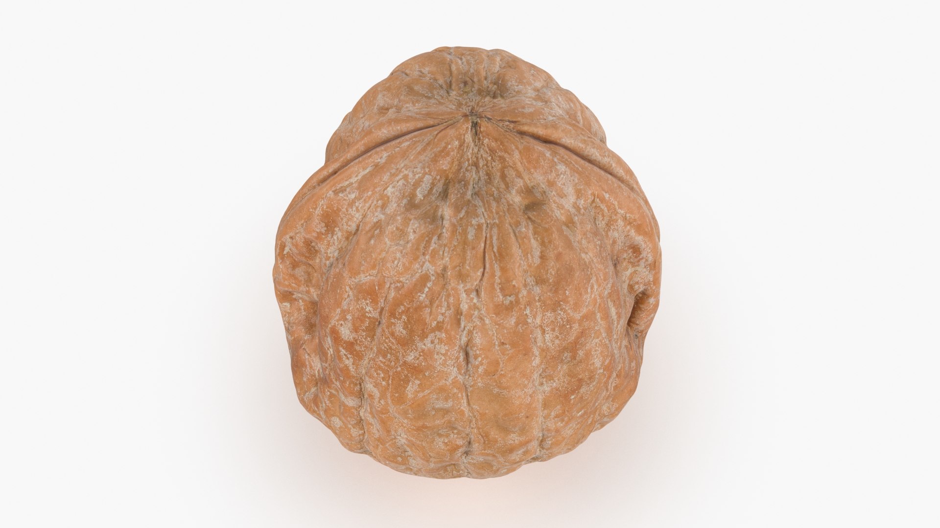 3D Walnut Shell - TurboSquid 1984717