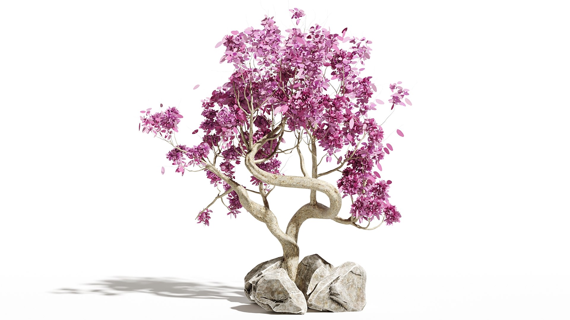 3D Model Japanese Tree Bonsai - TurboSquid 2191746