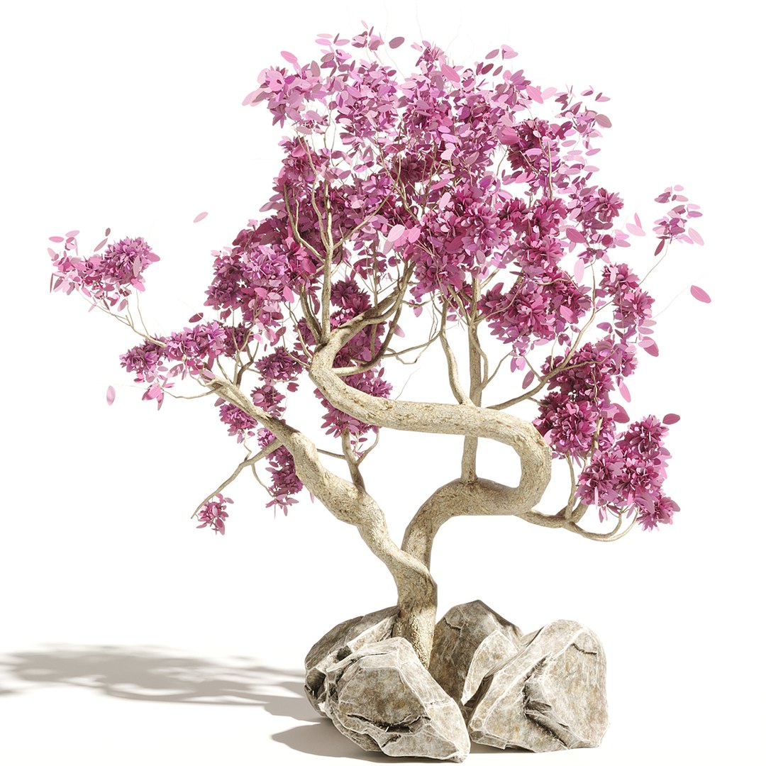 3D Model Japanese Tree Bonsai - TurboSquid 2191746
