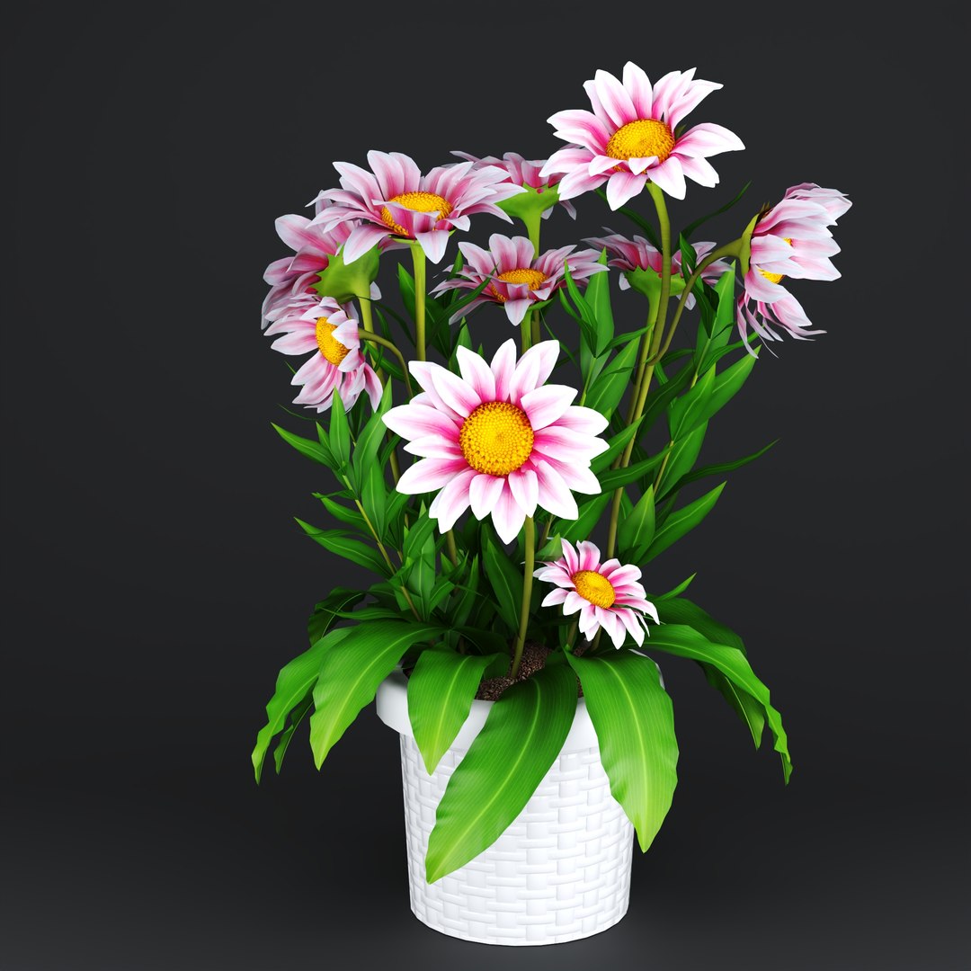 3D Indoor Plant Flower in a Pot 3D Model - TurboSquid 2145745