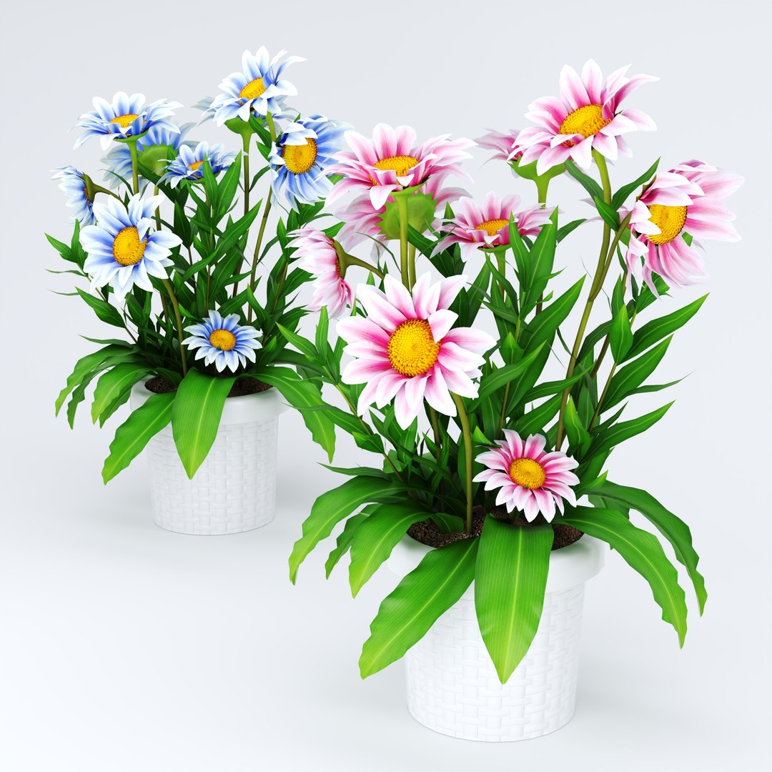 3D Indoor Plant Flower in a Pot 3D Model - TurboSquid 2145745