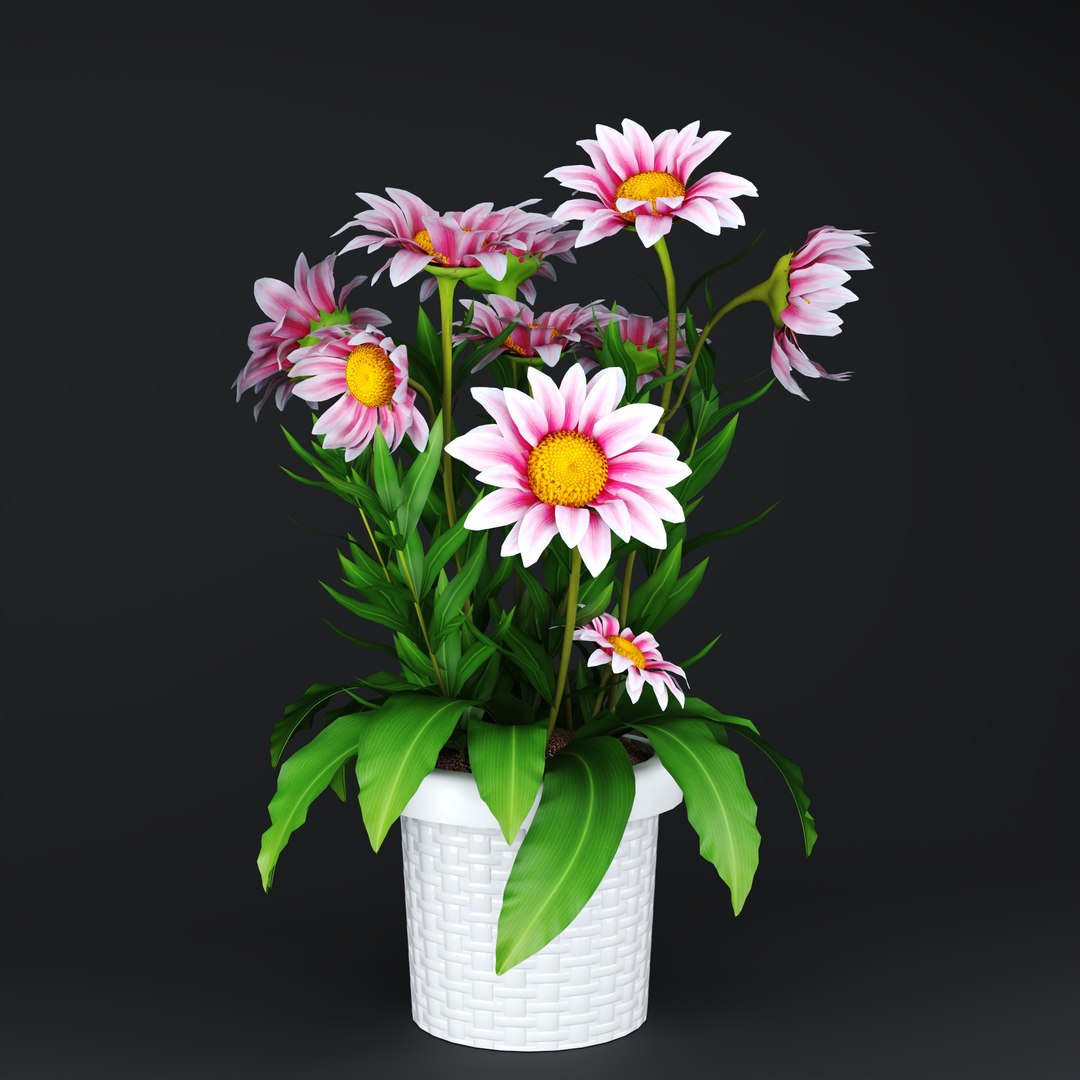 3D Indoor Plant Flower in a Pot 3D Model - TurboSquid 2145745