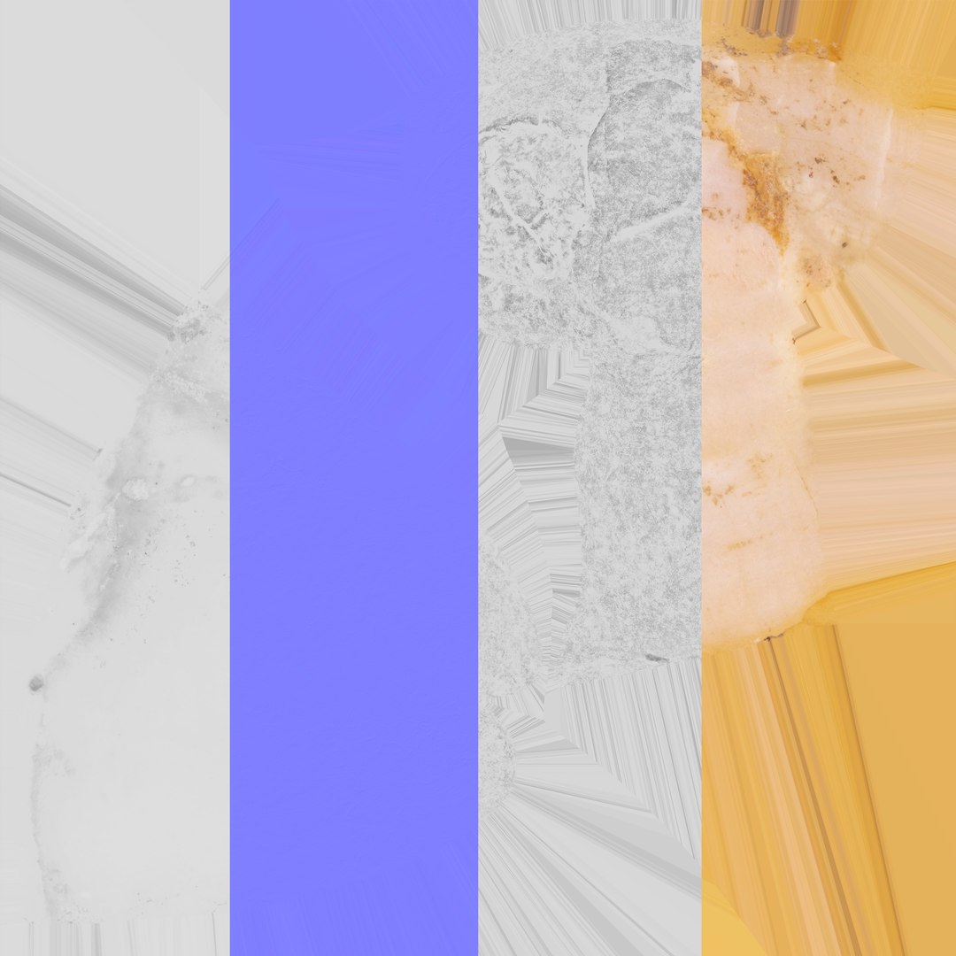 3D Model Molar Jaw - TurboSquid 1509063