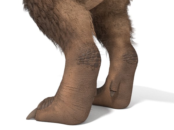 Tyrannosaurus rex fur rigged model - TurboSquid 1574561