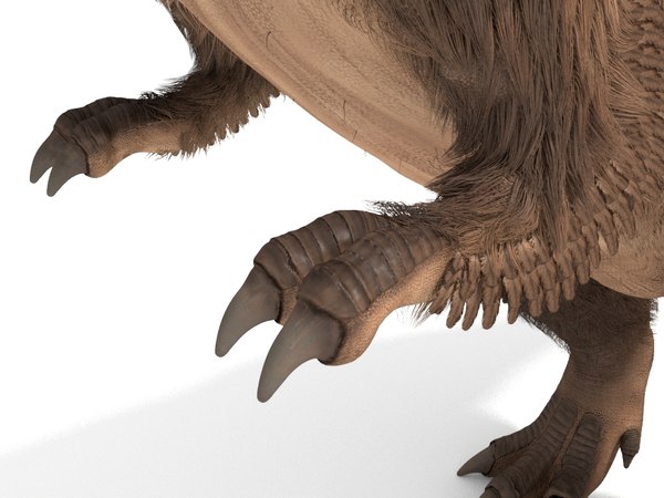 Tyrannosaurus rex fur rigged model - TurboSquid 1574561