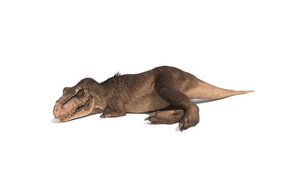 Tyrannosaurus rex fur rigged model - TurboSquid 1574561