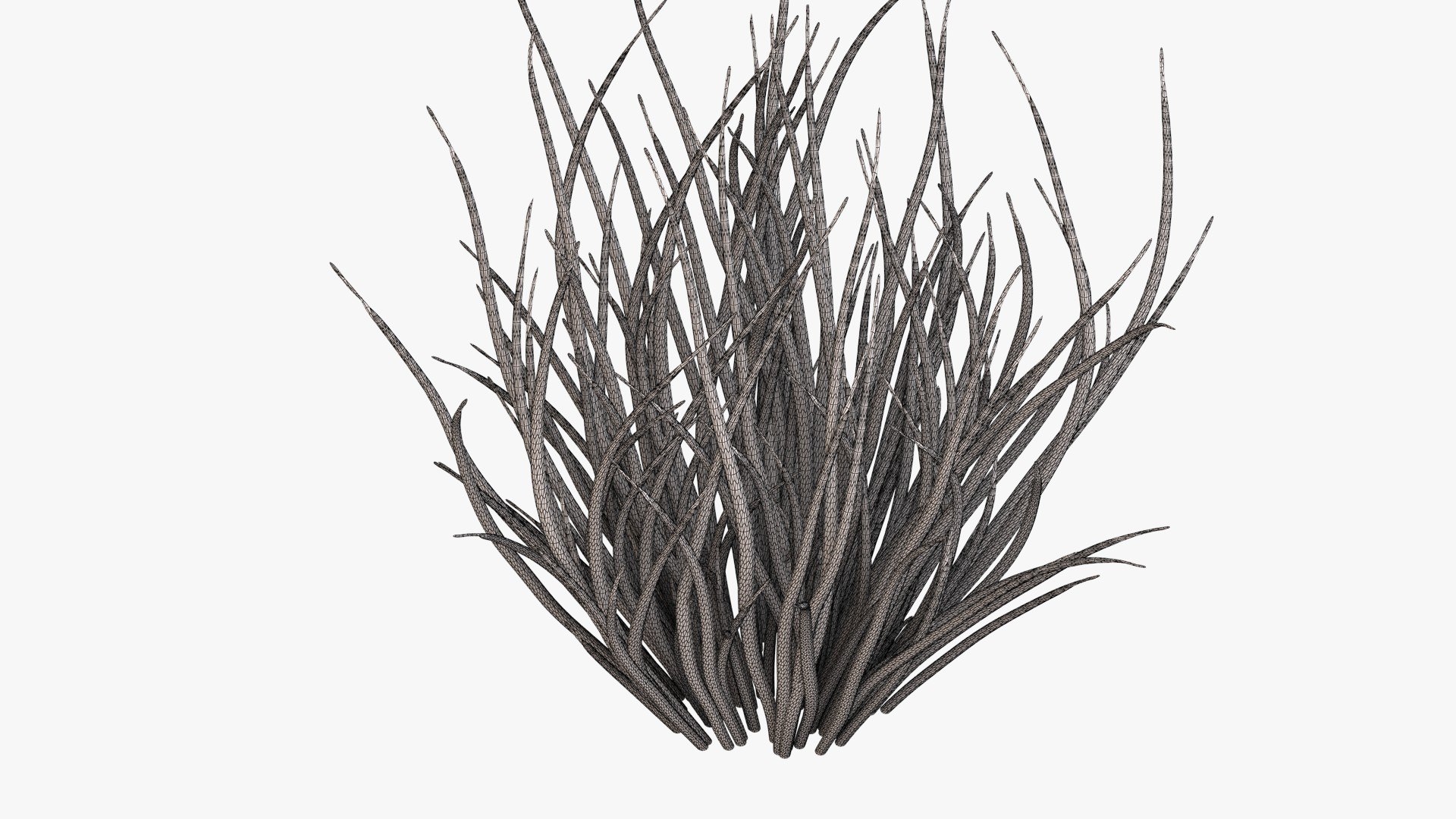 3D Model Underwater Grass - TurboSquid 1656023