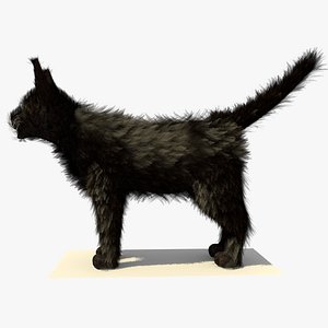 Download Free & Premium Black Cat 3D Models | TurboSquid