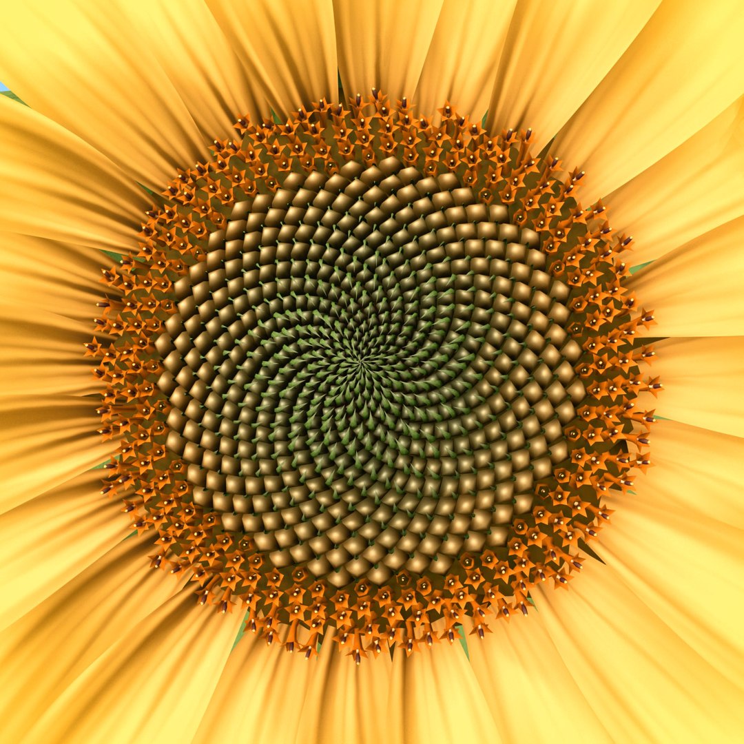 Max Sunflowers Plants