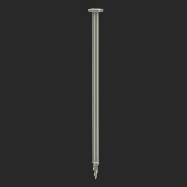 3d model of realistic nail