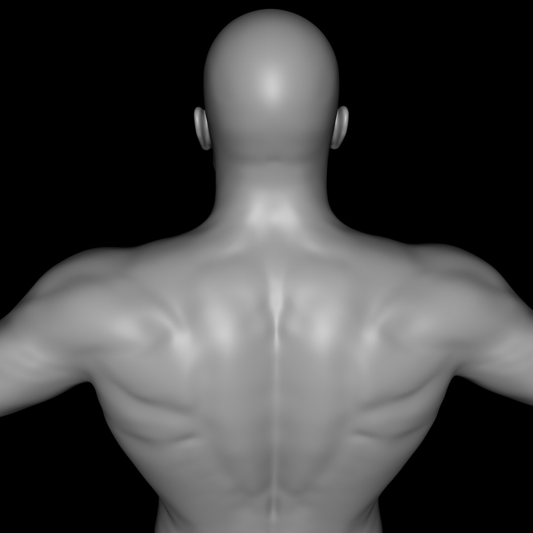 base male mesh 3d model