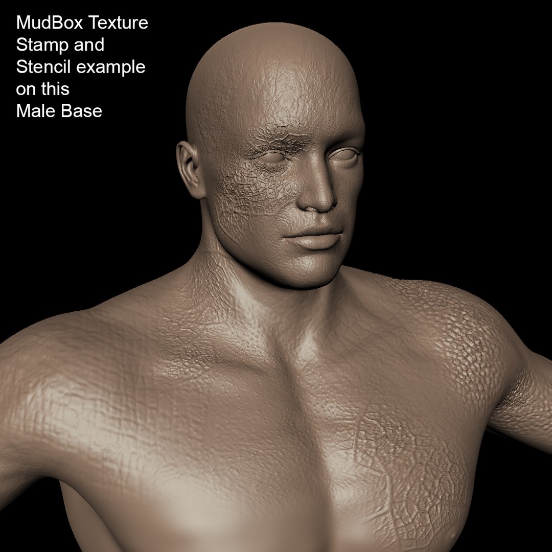 base male mesh 3d model