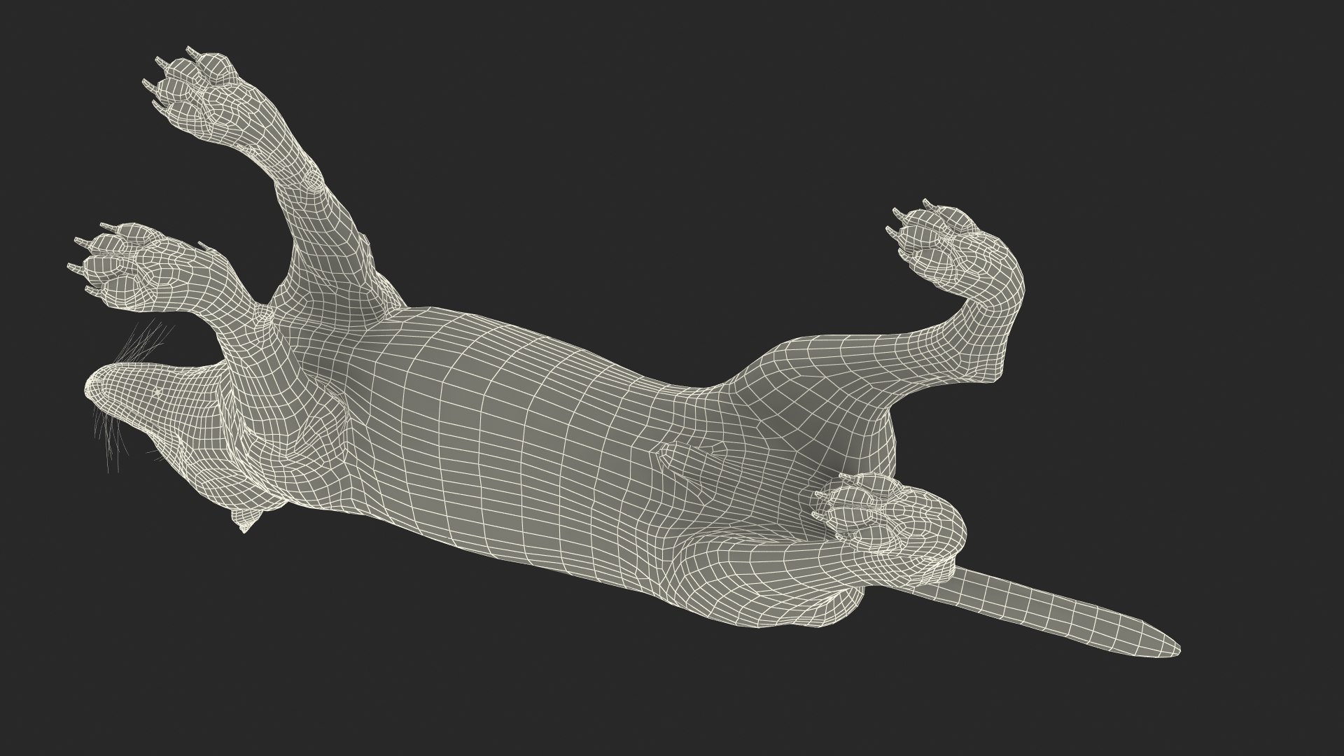 Grey Wolf Fur For Cinema 4D Model - TurboSquid 2396564