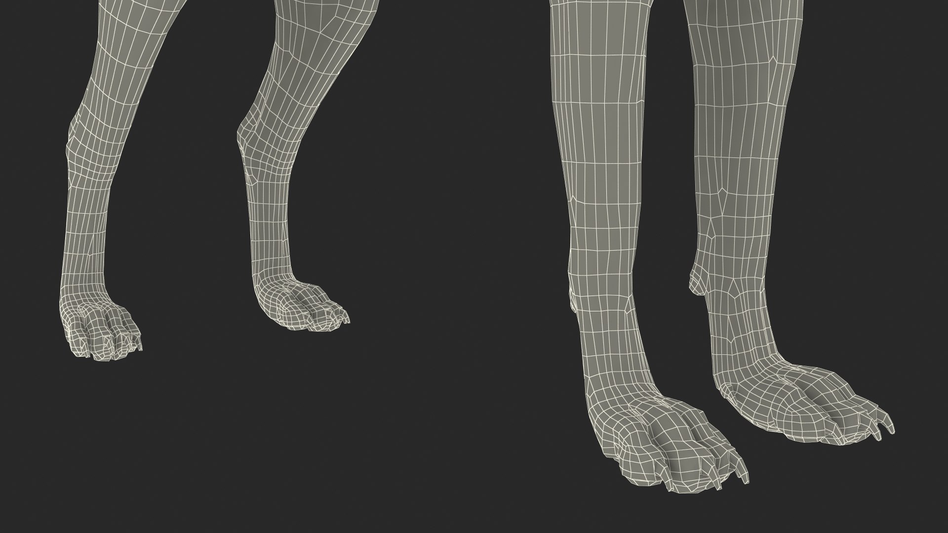 Grey Wolf Fur For Cinema 4D Model - TurboSquid 2396564