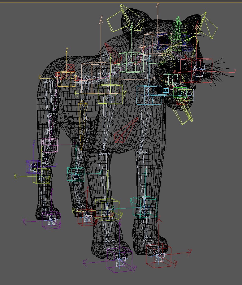 3d Panther Animation Fur