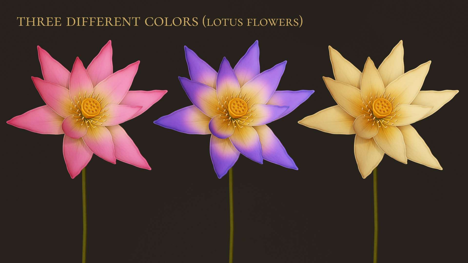 Water Plants and Flowers 3D model - TurboSquid 2161029