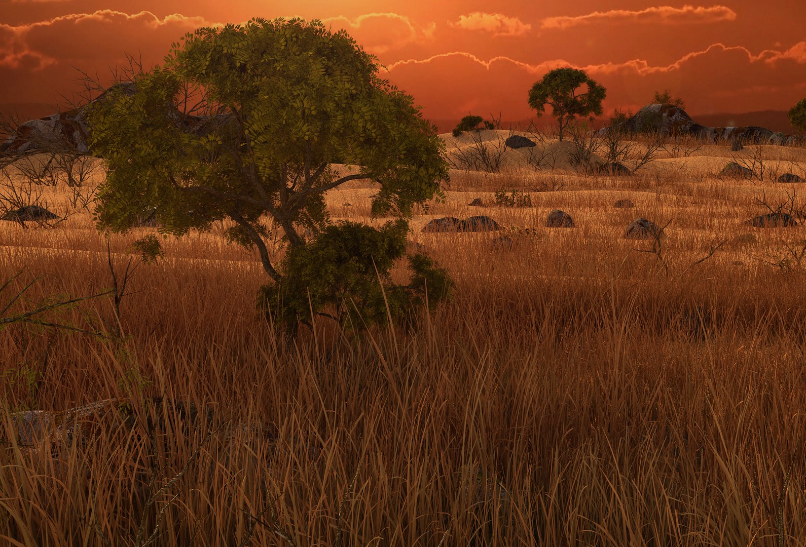 Savannah Savanna Model - TurboSquid 1541297