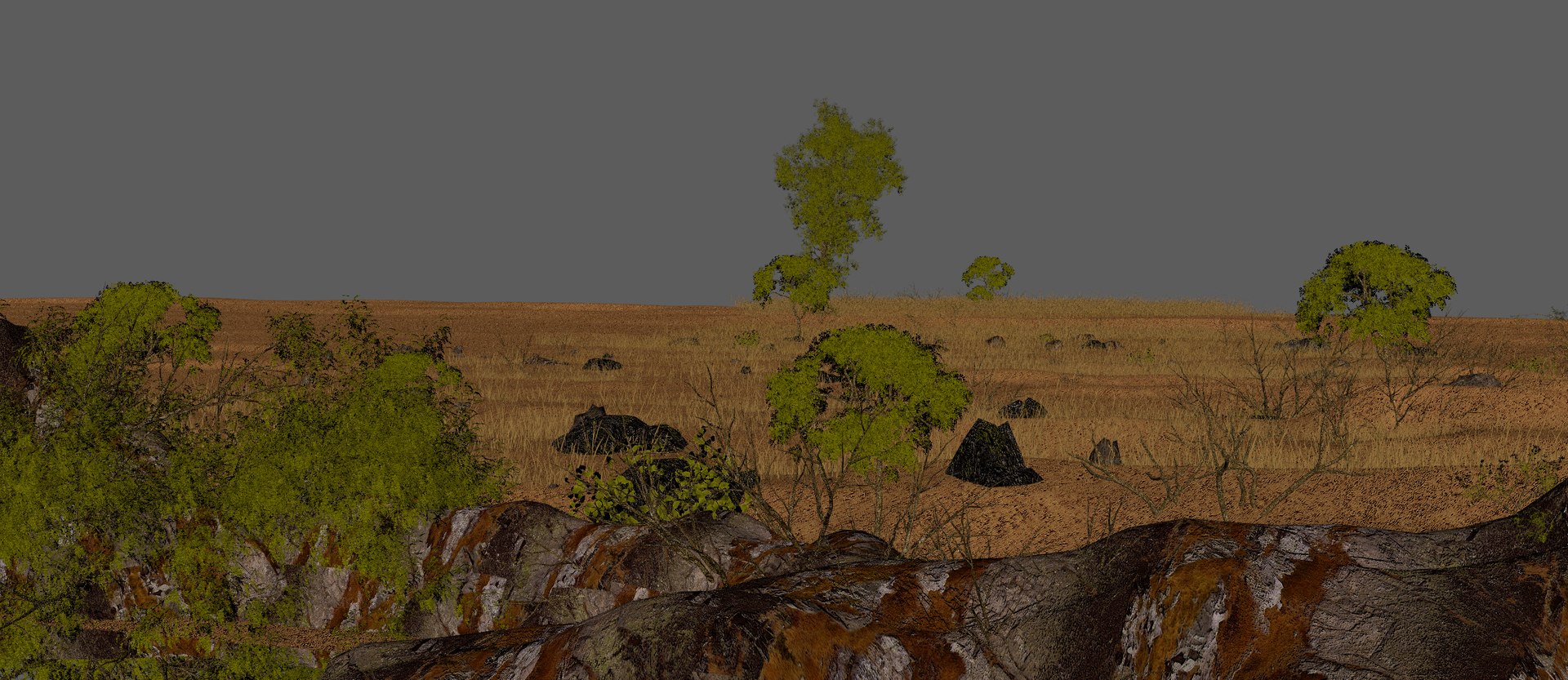 Savannah Savanna Model - TurboSquid 1541297