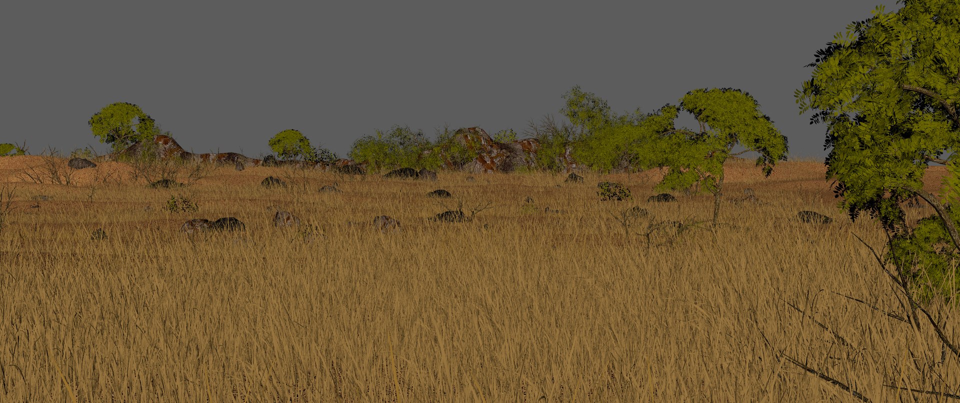 Savannah Savanna Model - TurboSquid 1541297