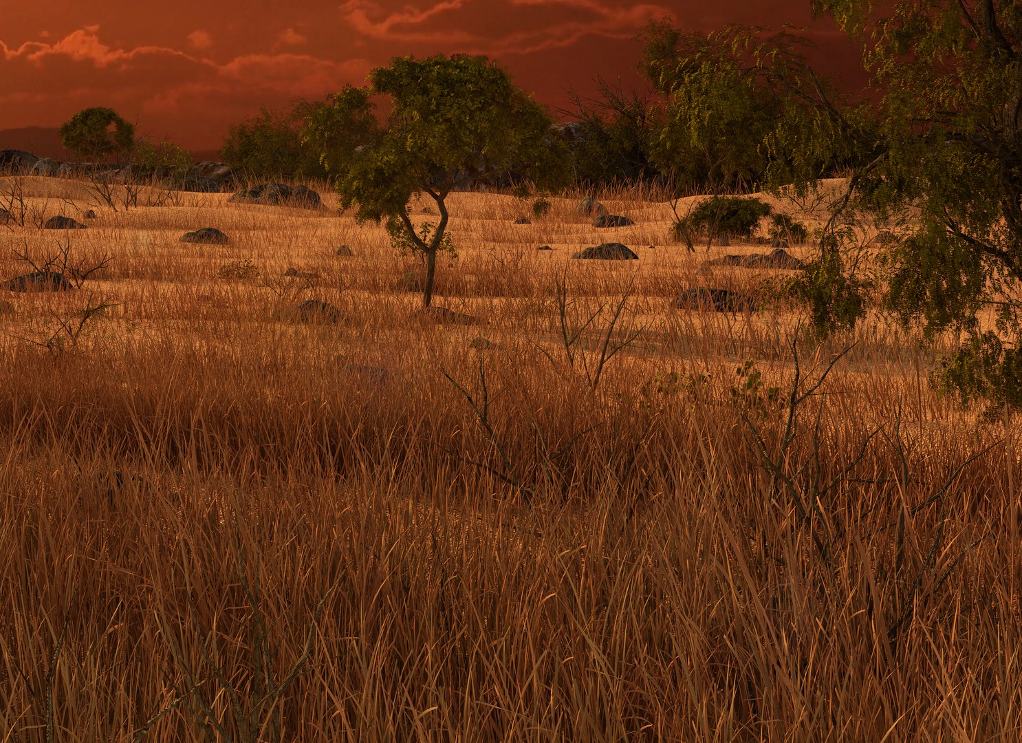 Savannah Savanna Model - TurboSquid 1541297