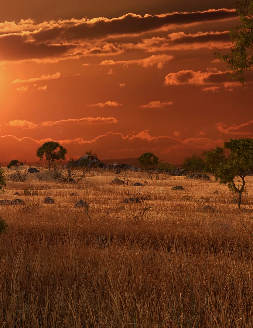 Savannah Savanna Model - TurboSquid 1541297
