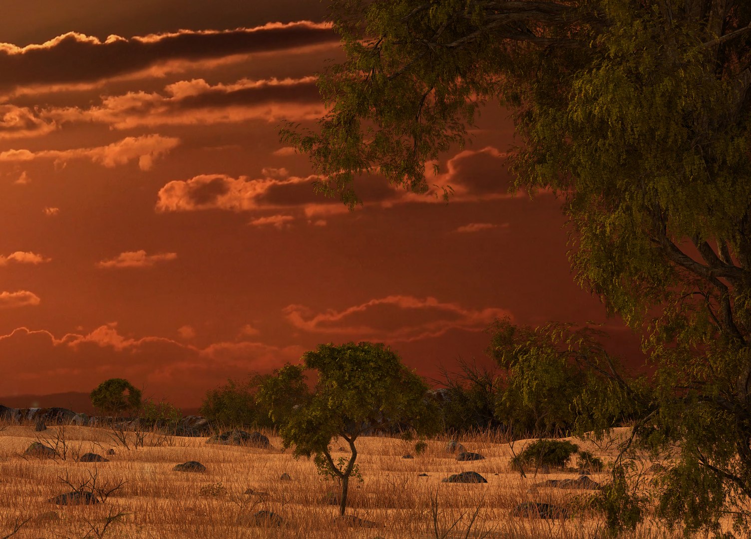 Savannah Savanna Model - TurboSquid 1541297