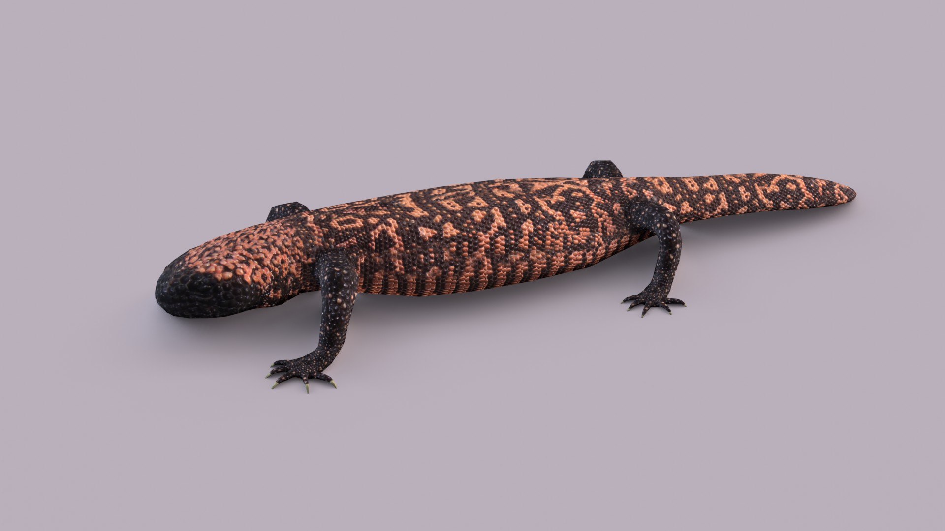 3d Lizard Gila Monster