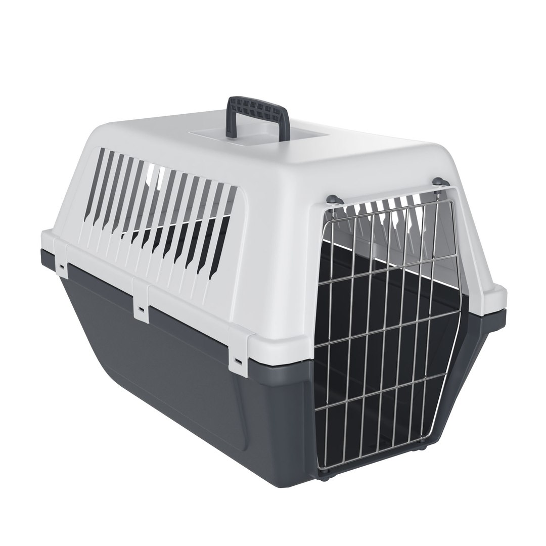 3D Pet Transporter Model - TurboSquid 1787940