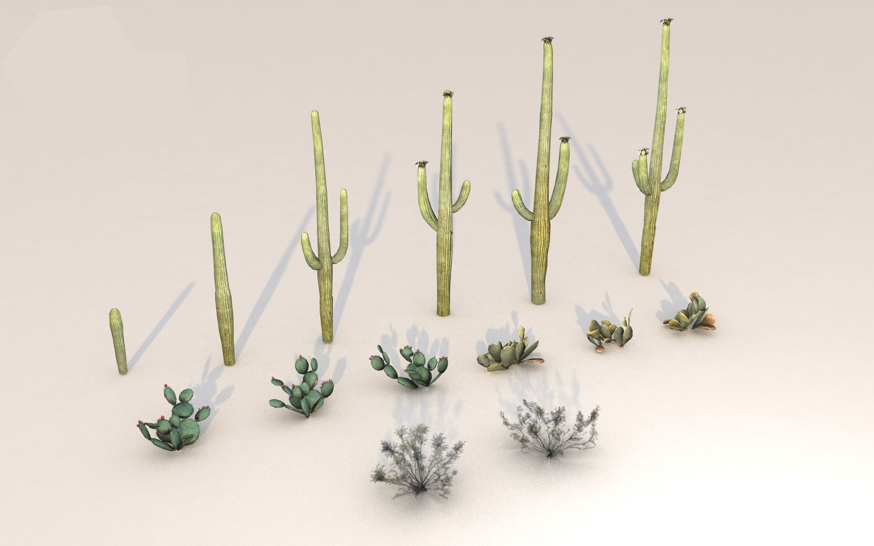 Desert Plant 3D Model - TurboSquid 1511554