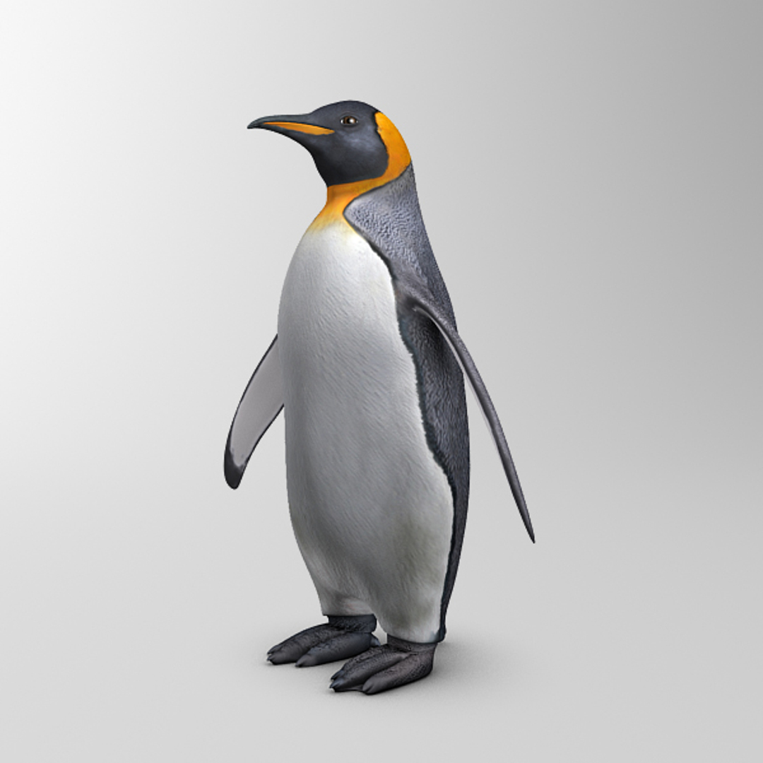 Penguin 3d Model