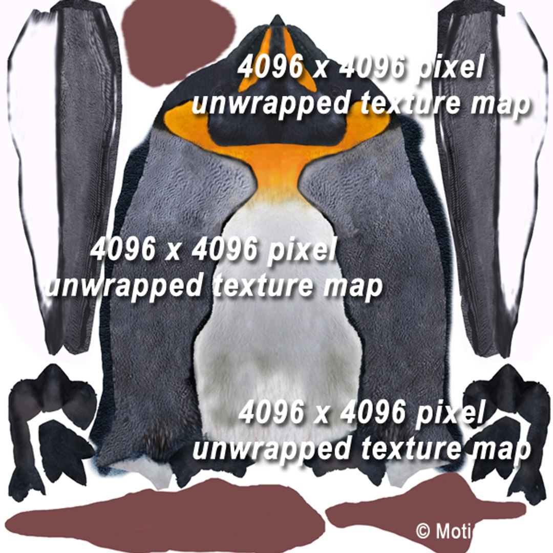 Penguin 3d Model