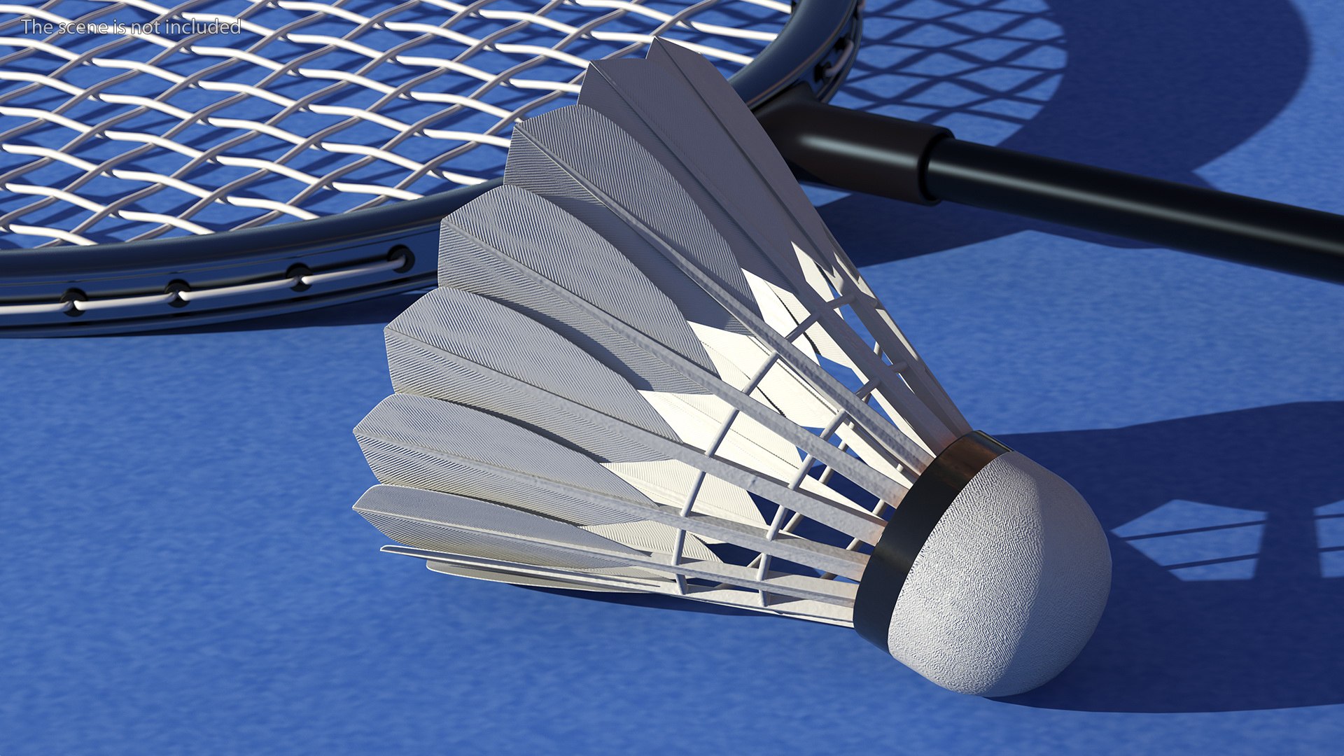 3D Professional Carbon Fiber Badminton Racket And Feather Shuttlecock ...