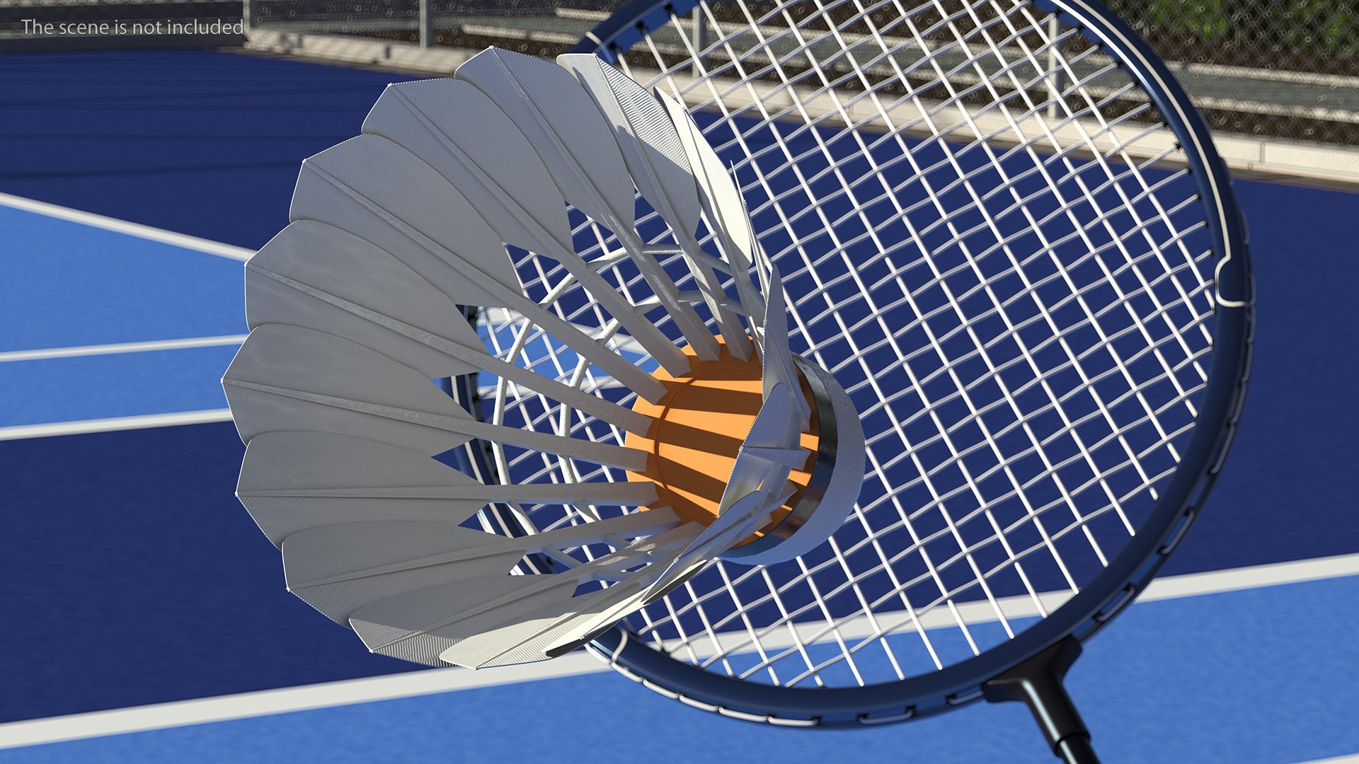 3D Professional Carbon Fiber Badminton Racket And Feather Shuttlecock ...