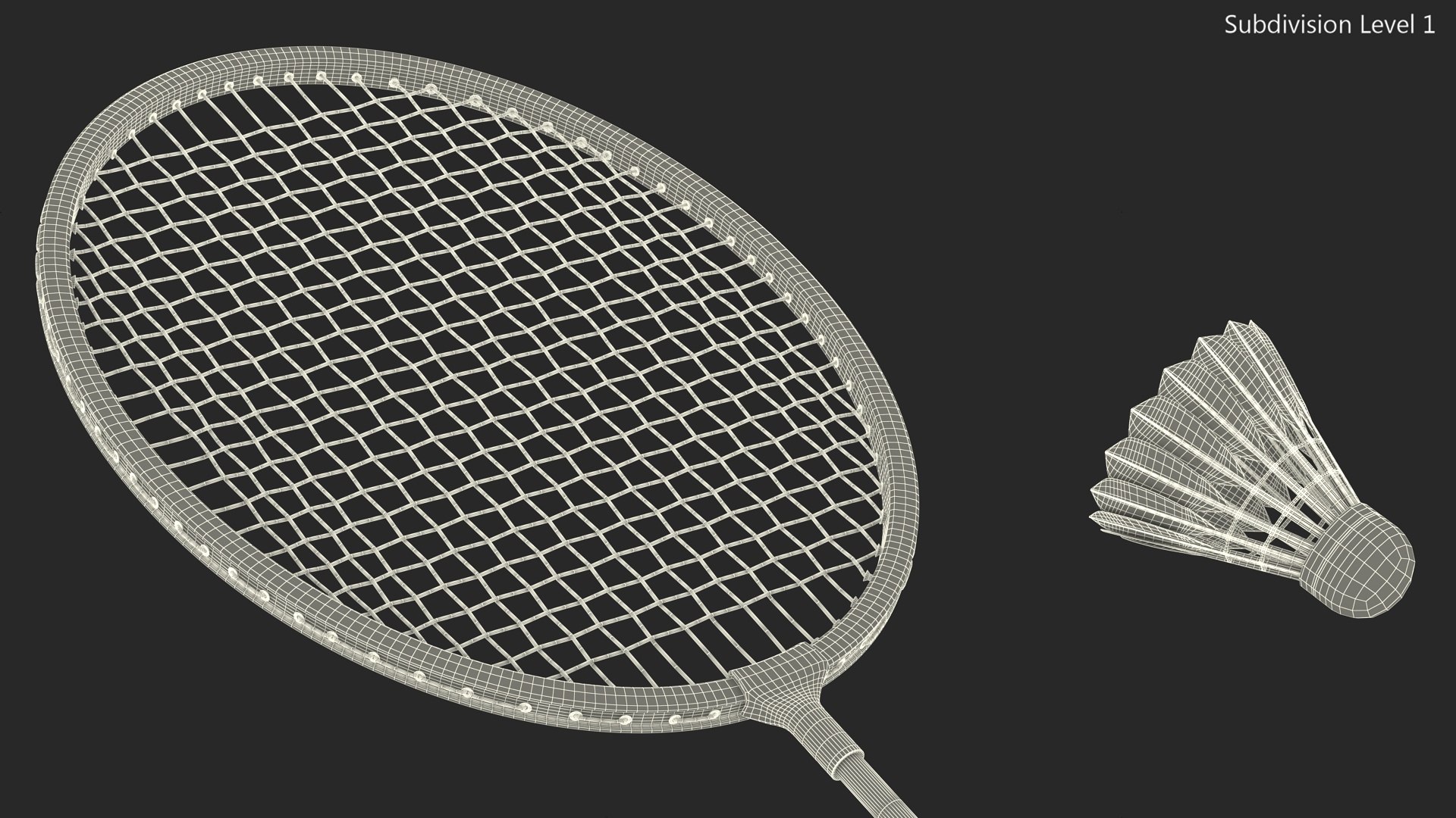 3D Professional Carbon Fiber Badminton Racket And Feather Shuttlecock ...