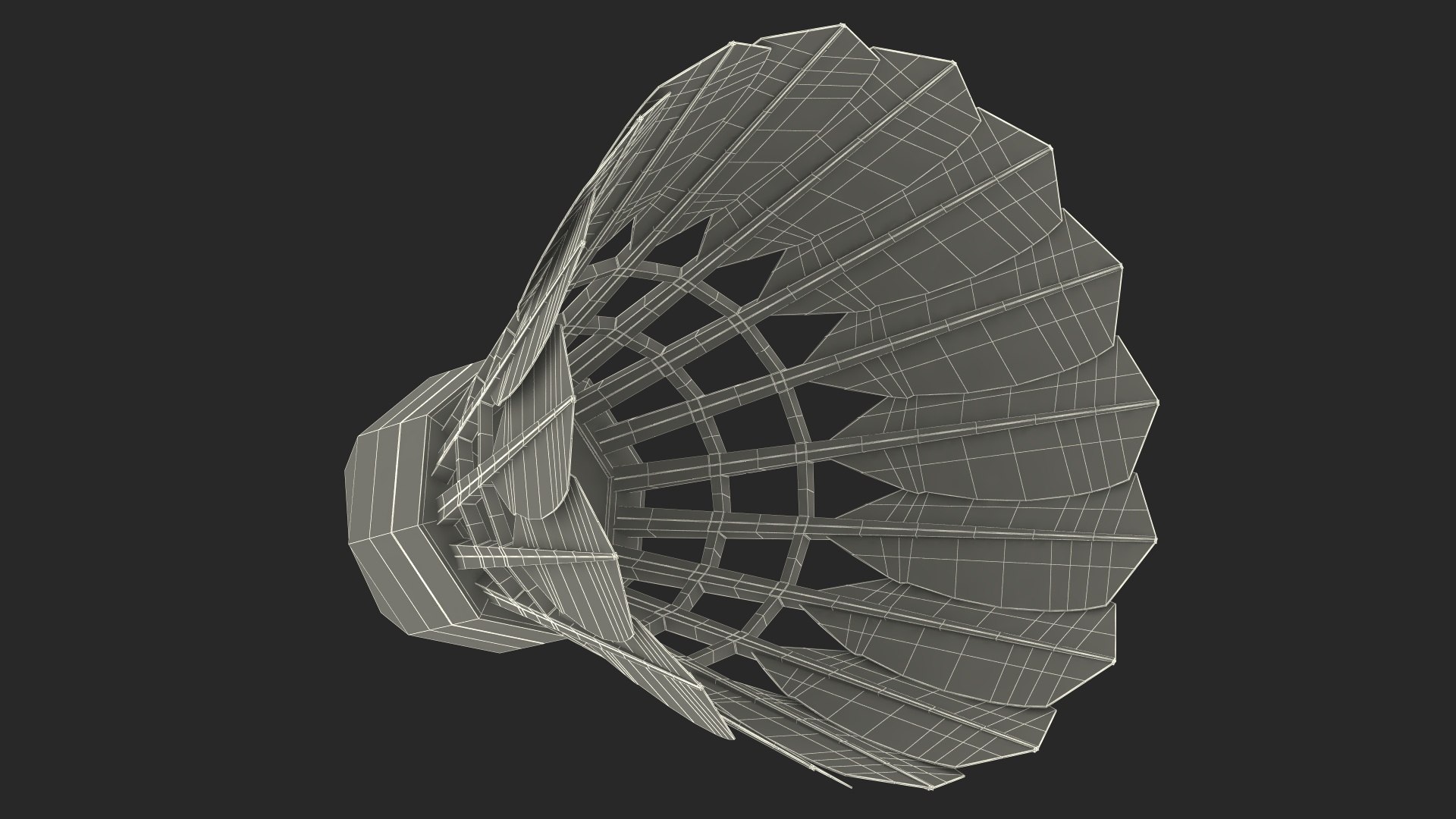 3D Professional Carbon Fiber Badminton Racket and Feather Shuttlecock ...