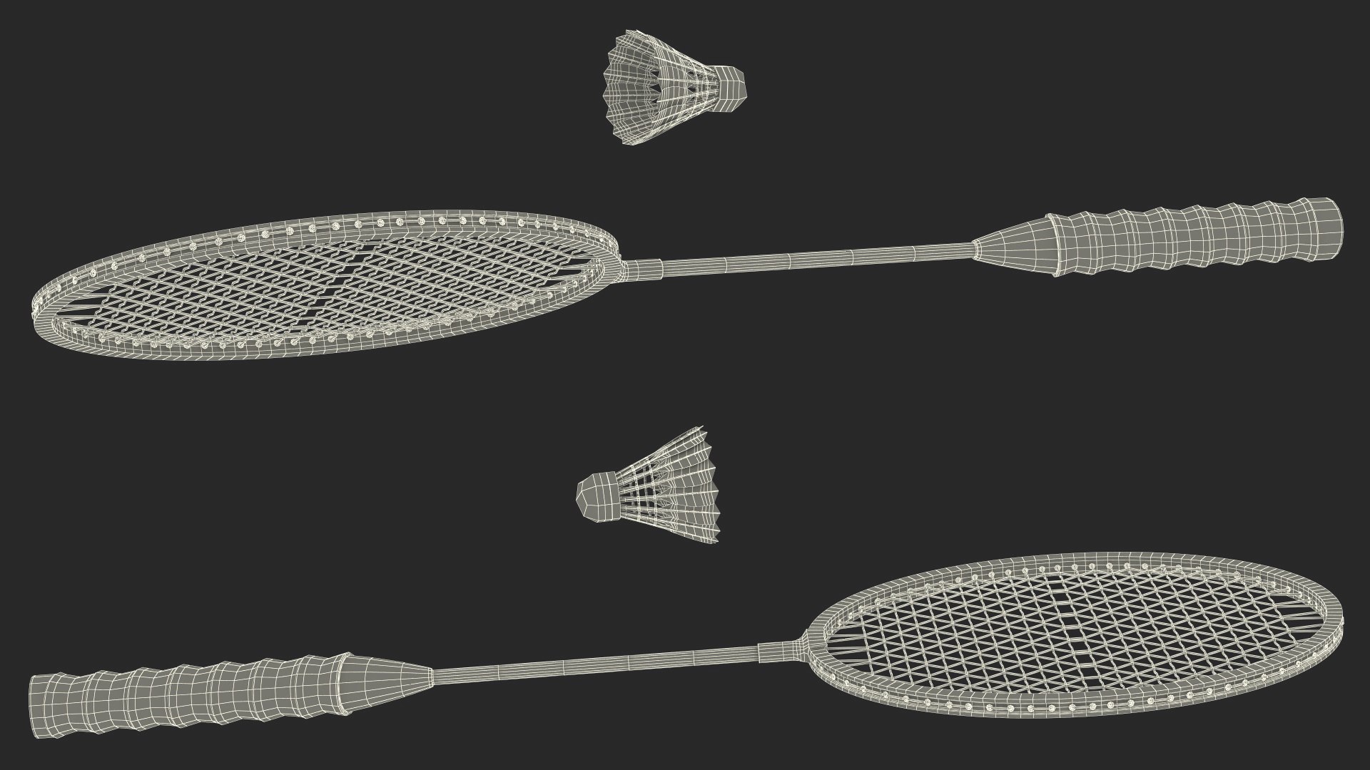 3D Professional Carbon Fiber Badminton Racket and Feather Shuttlecock ...