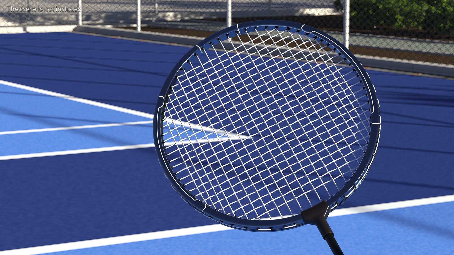 3D Professional Carbon Fiber Badminton Racket And Feather Shuttlecock ...