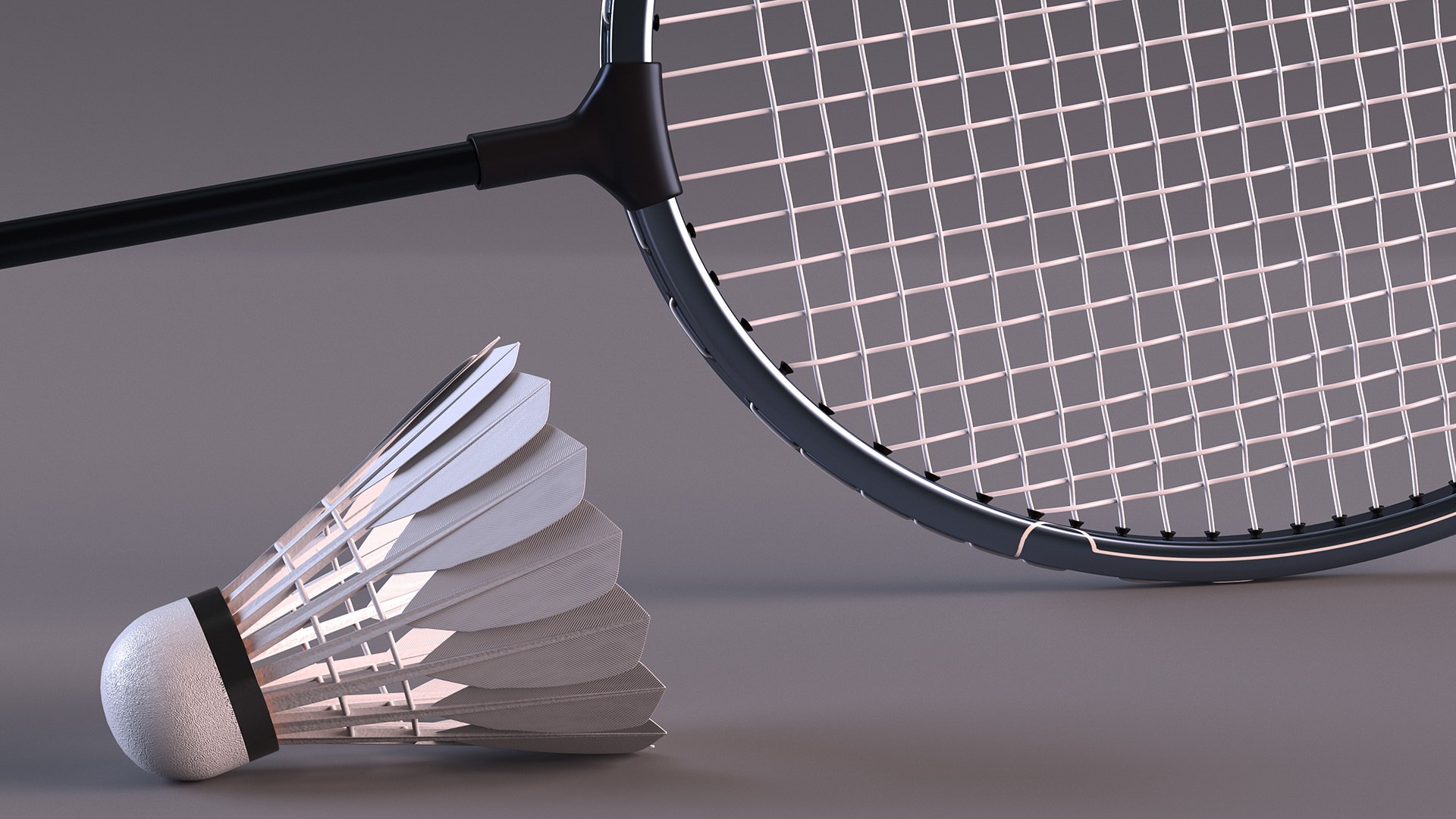 3D Professional Carbon Fiber Badminton Racket And Feather Shuttlecock ...